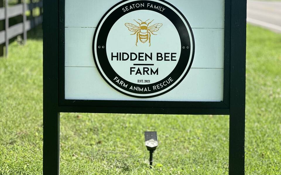 Water Camp- Summer Camp - Experience Maury